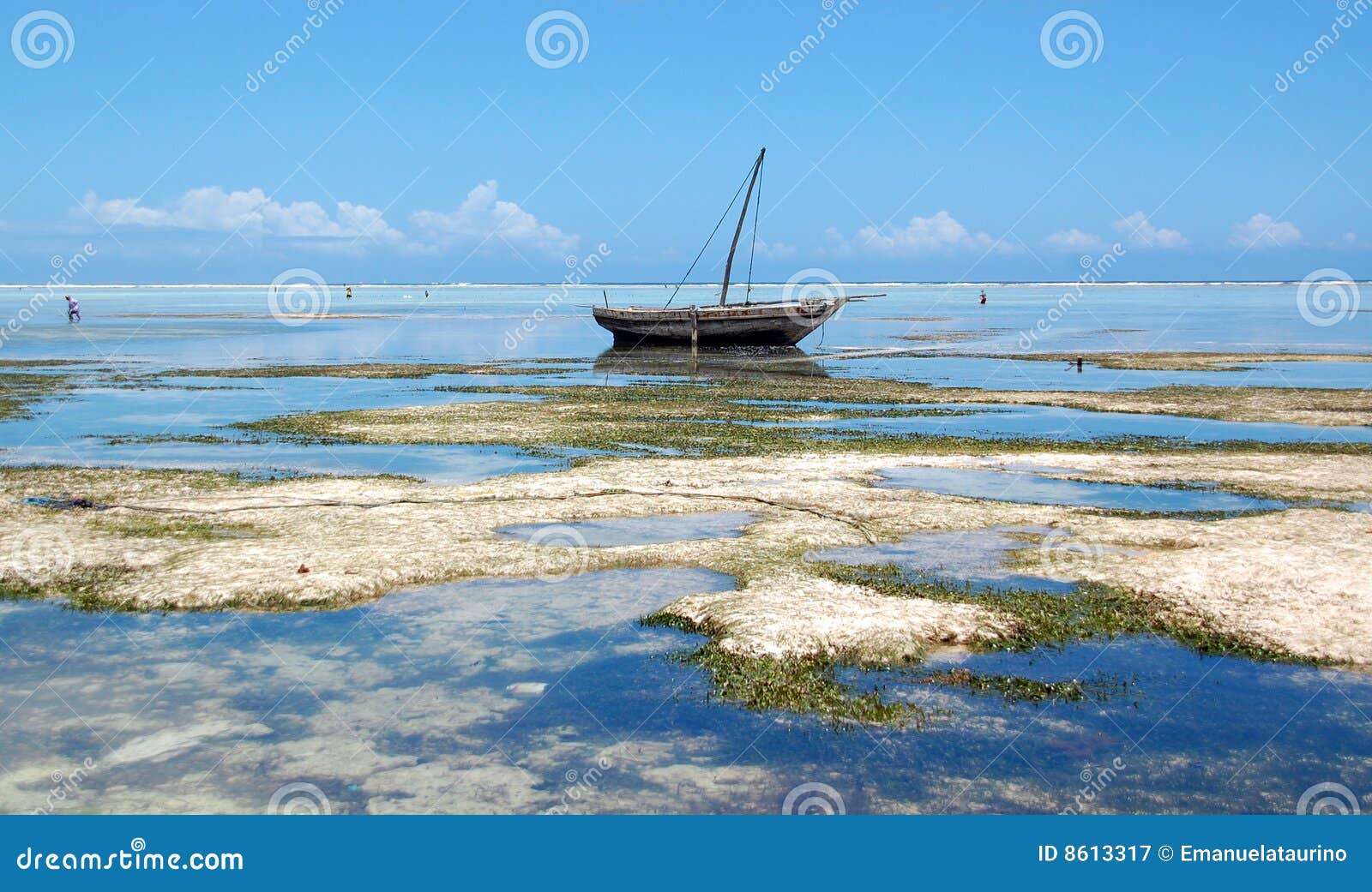 Zanzibar_matemwe beach stock image. Image of boat, travel - 8613317