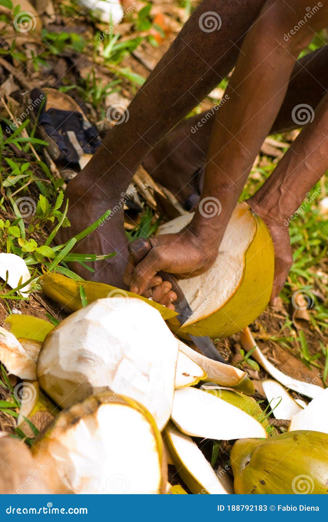 Zanzibar, Coconut Processing,woman Scrapes The Coconut From The Nut ...