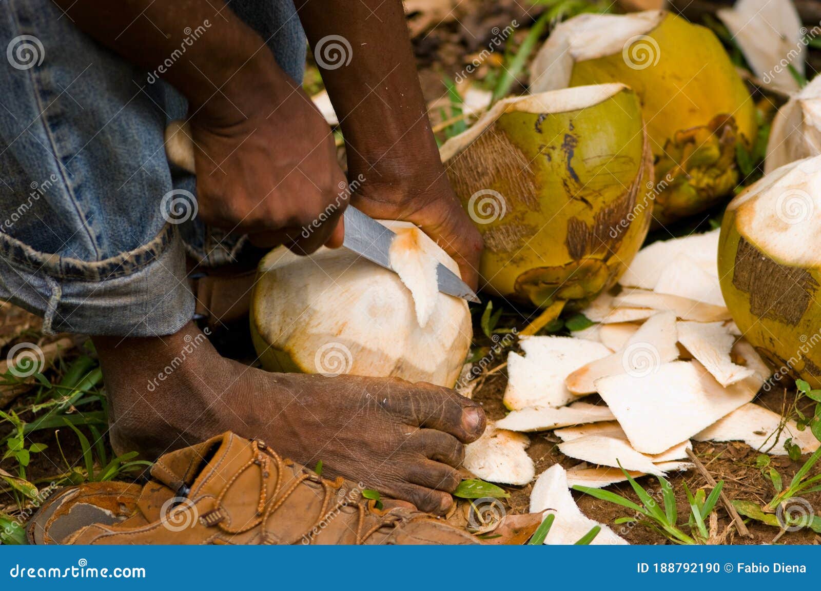 Zanzibar, Coconut Processing,woman Scrapes The Coconut From The Nut ...