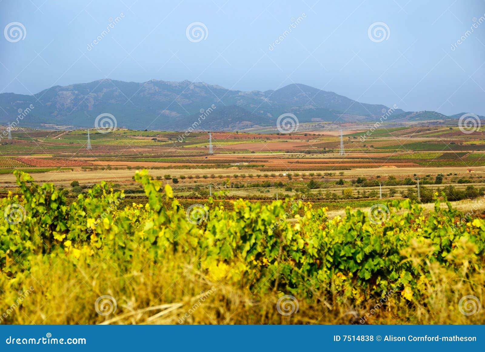 Zaragoza countryside Spain stock photo. Image of europe - 7514838