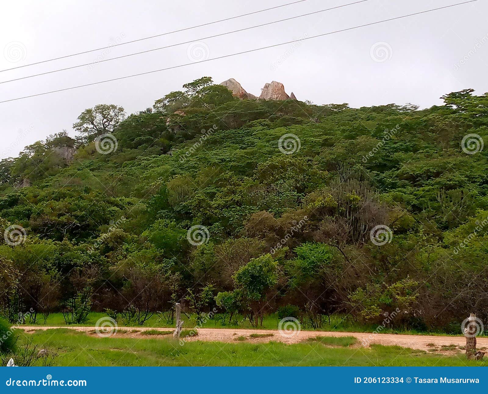 Zarahata Mountain Gutu stock photo. Image of hill, gutu - 206123334