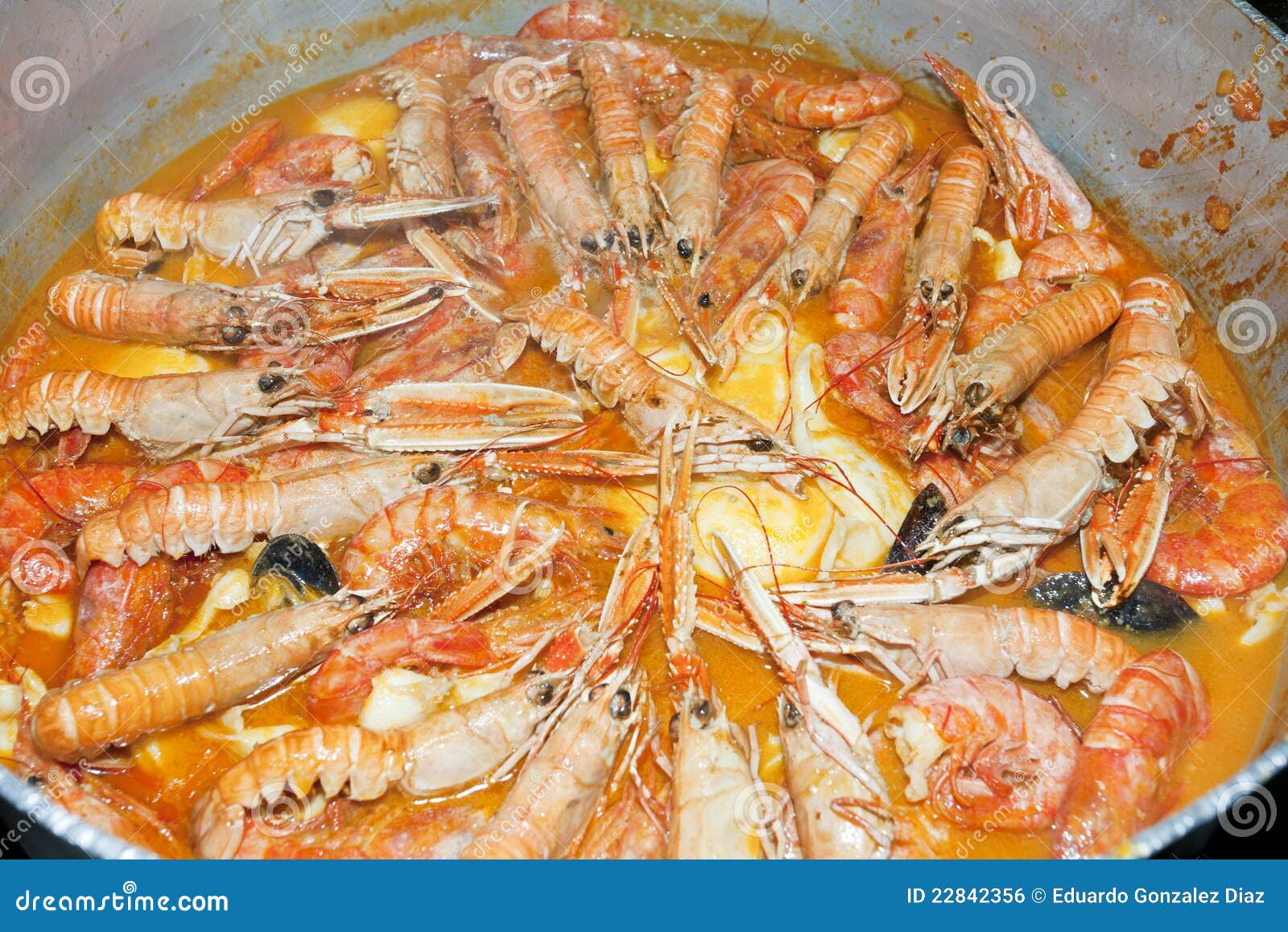 Zarzuela of fish stock photo. Image of salsa, stuffed - 22842356