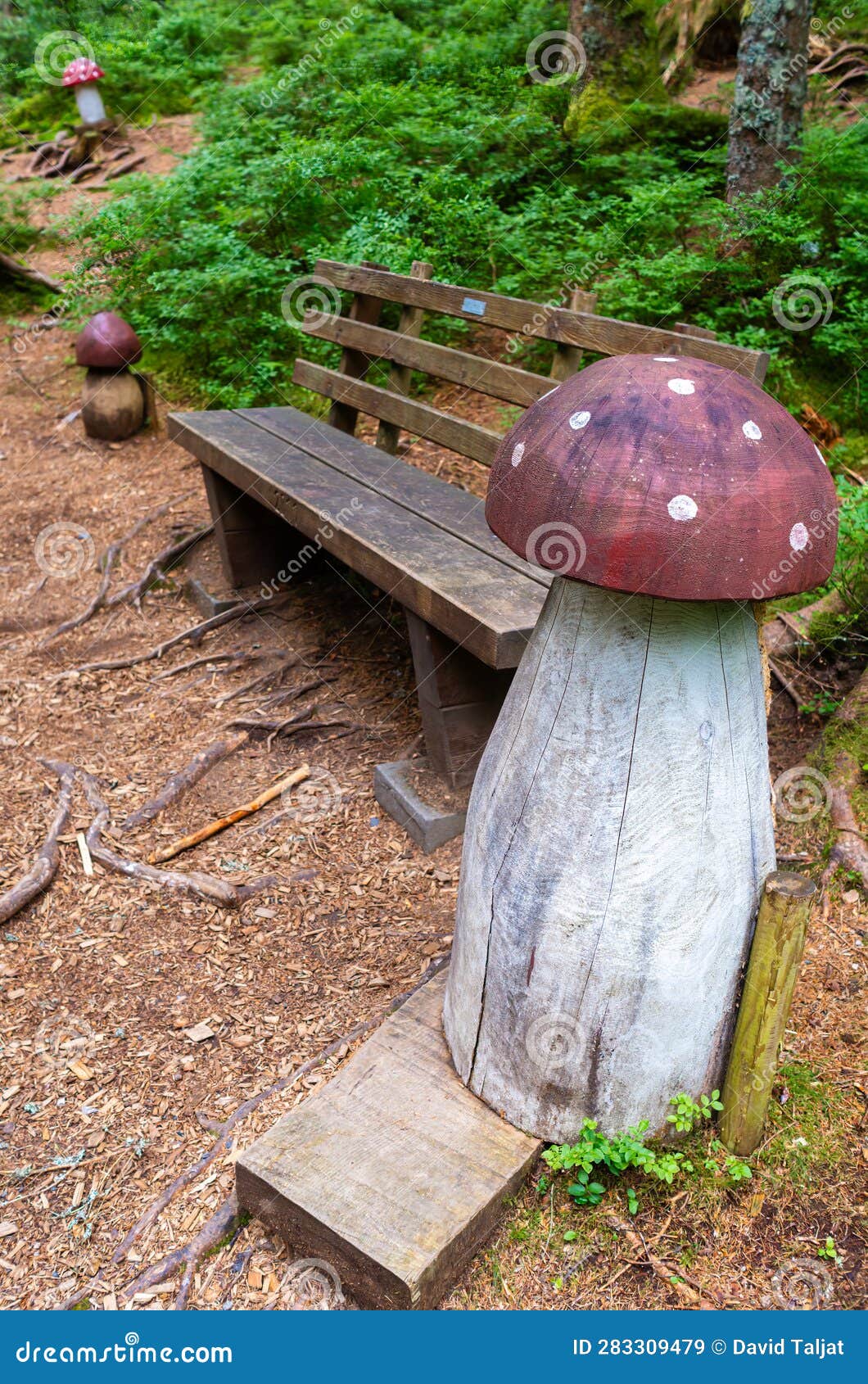 Zauberwald - Magic Forest Path in Black Forest, Germany Stock Image ...