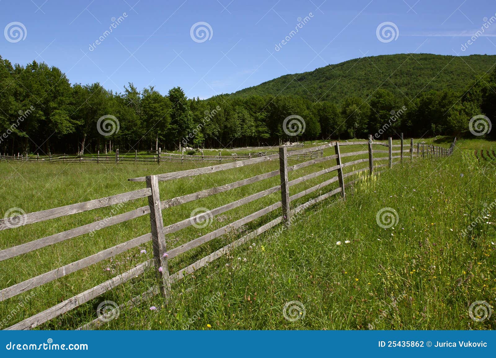 Zaun stockfoto. Bild von landwirtschaftlich, zäune, morgen - 25435862