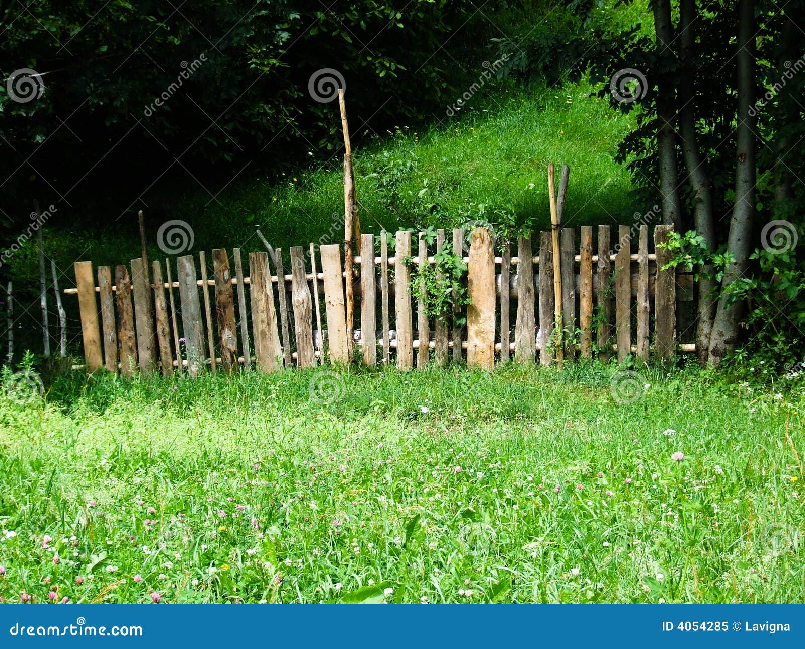 Zaun In Der Natur Bild. Bild: 4054285