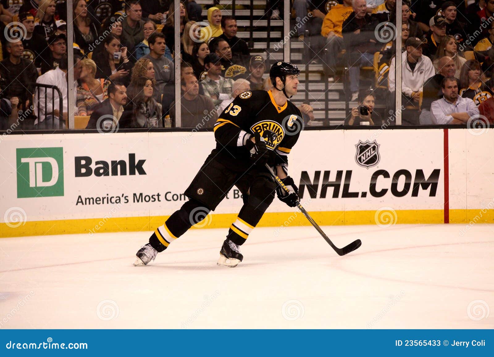 Zdeno Chara Boston Bruins editorial stock photo. Image of boston - 23565433