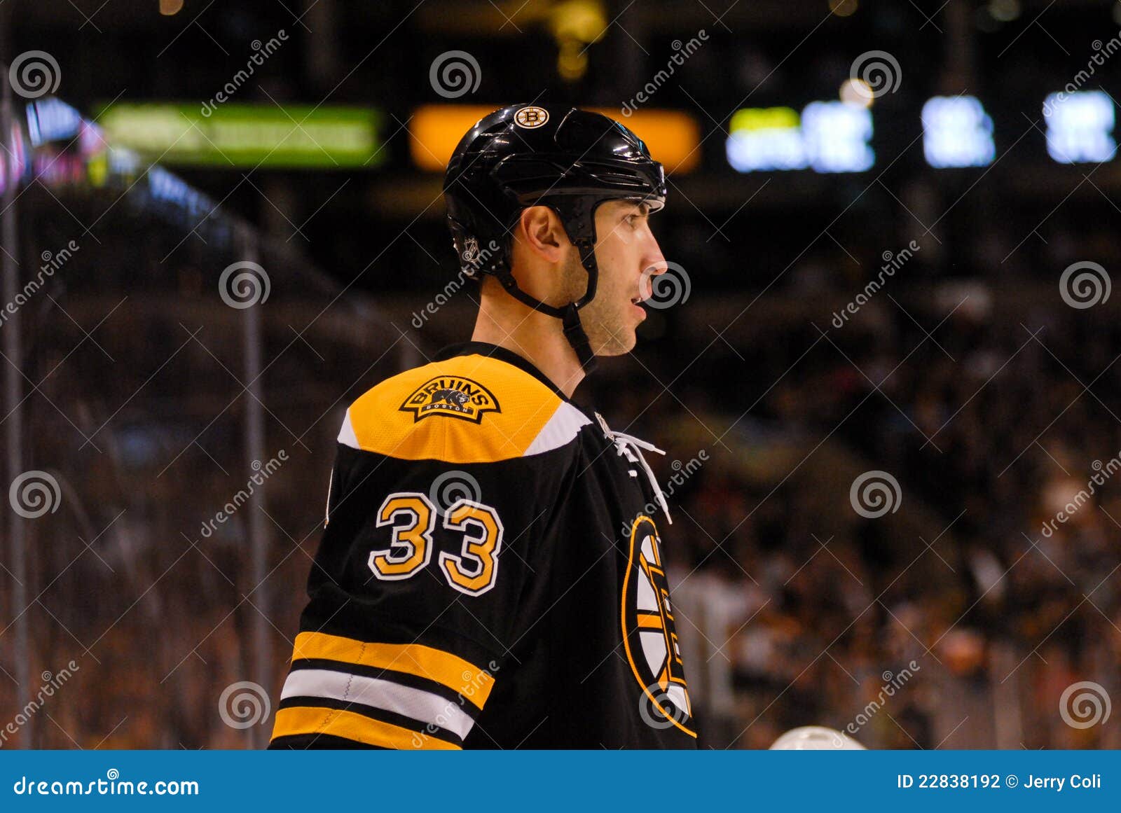 Zdeno-Charaban-Boston Bruins Redaktionelles Stockfotografie - Bild von ...