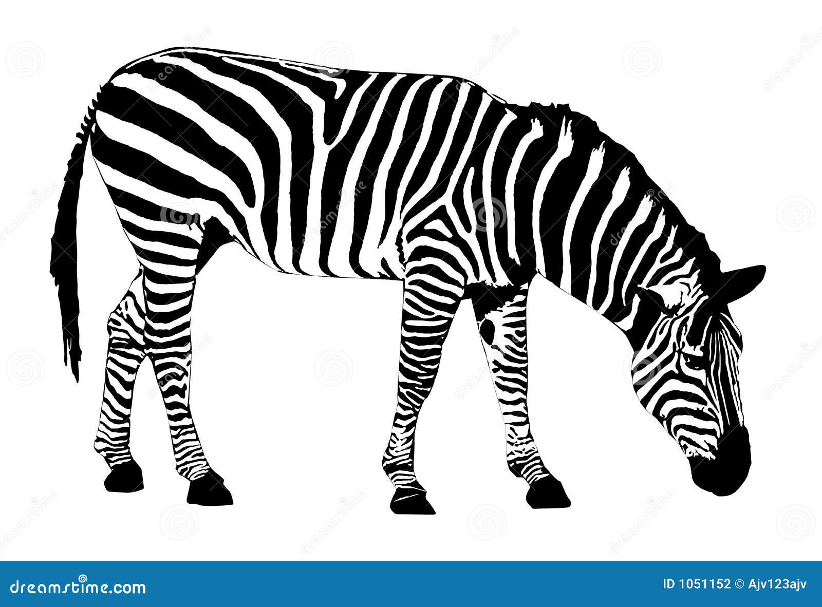 Zebra Cartoons, Illustrations & Vector Stock Images - 91653 Pictures to ...