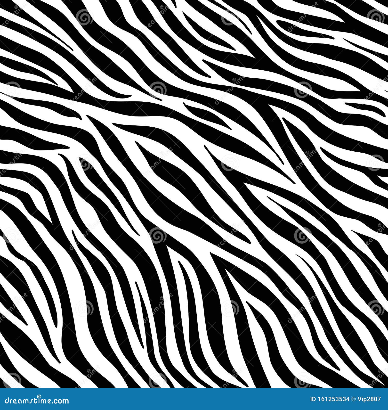 Zebra Animal Pattern, White Background. Vector Striped Texture. Stock ...