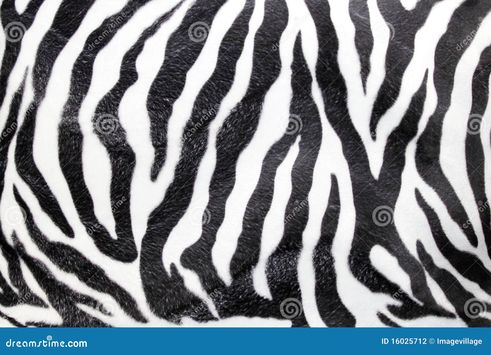 Zebra background stock photo. Image of jungle, detail - 16025712