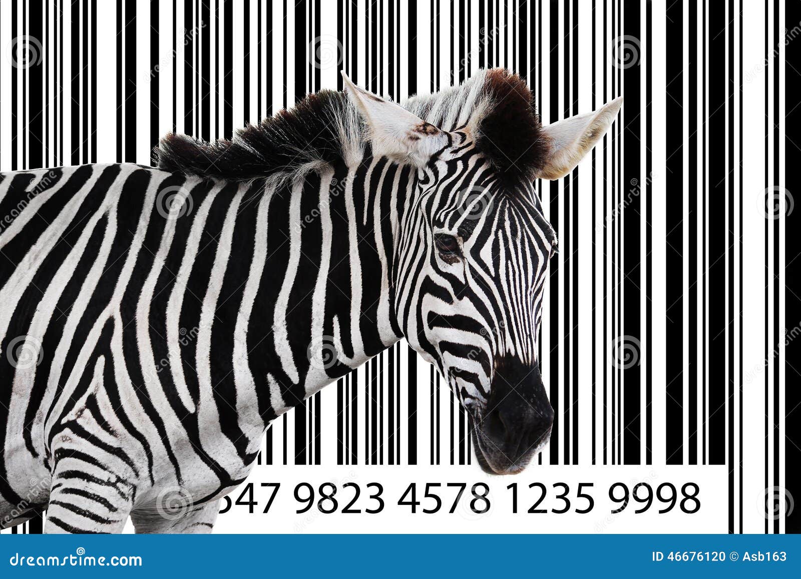 Animal Barcodes