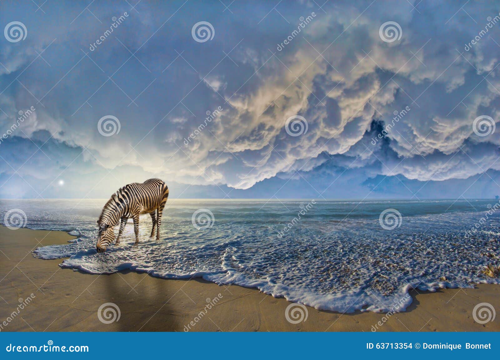 Surreal Zebra Rat Royalty-Free Stock Image | CartoonDealer.com #14554540
