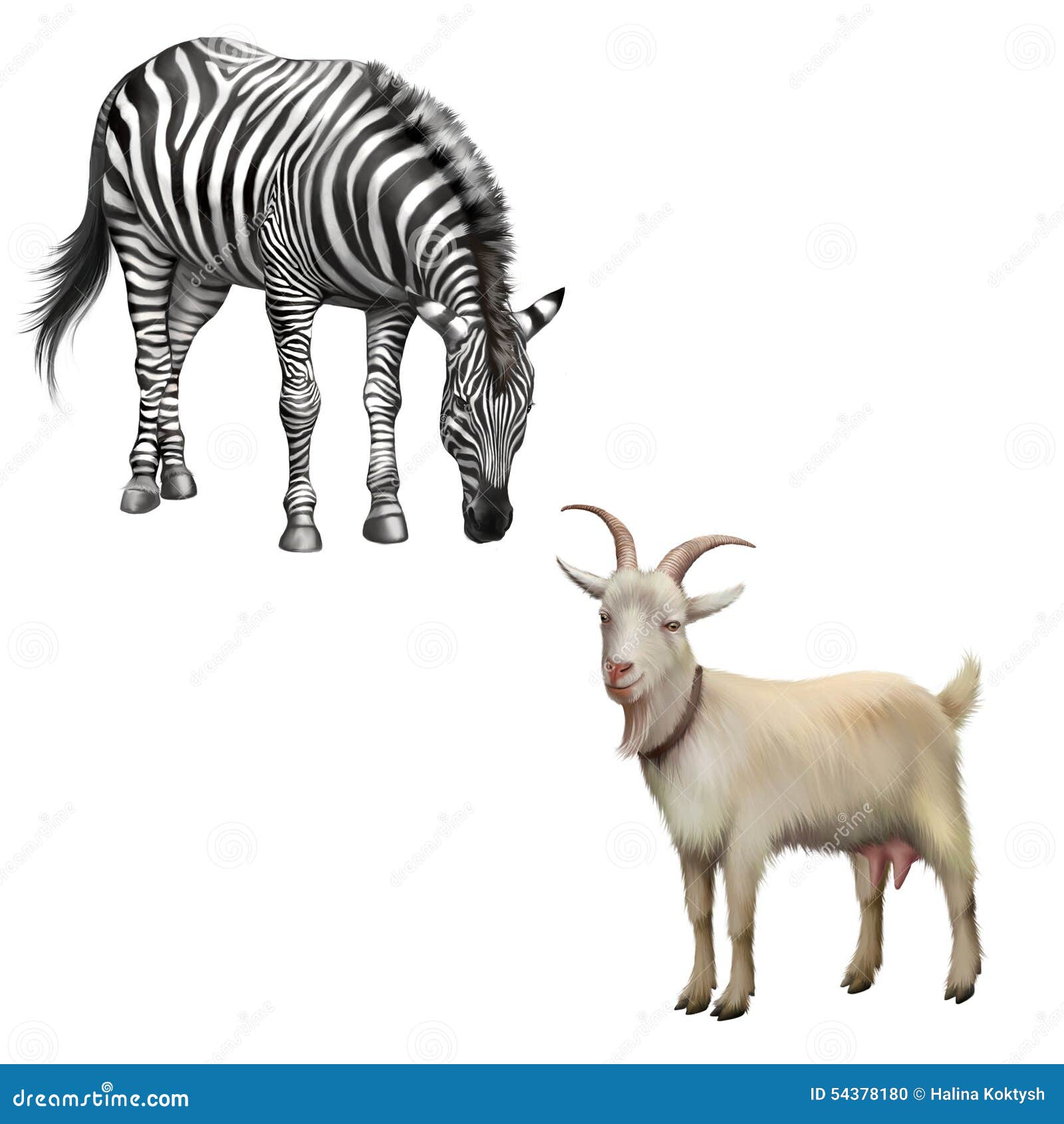 Young Goat Grass Stock Illustrations – 494 Young Goat Grass Stock ...