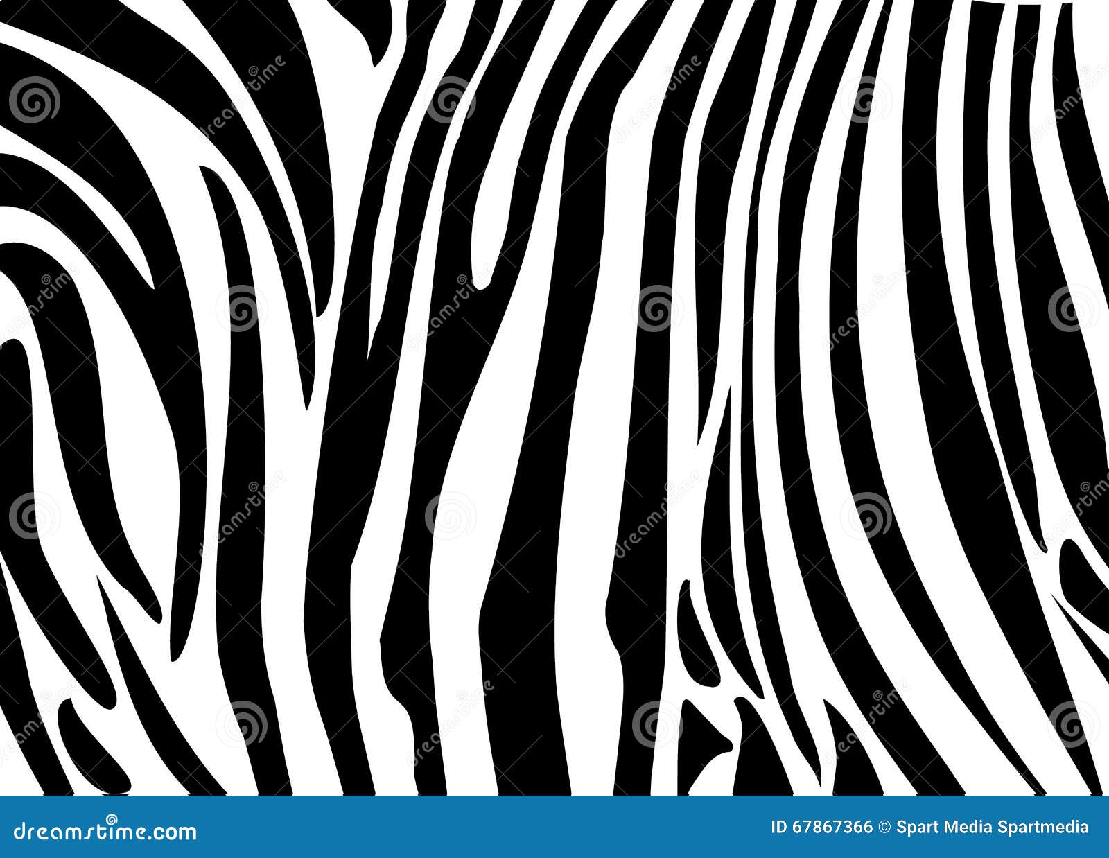 Zebra PRINT stock vector. Illustration of abstract, closeup - 67867366
