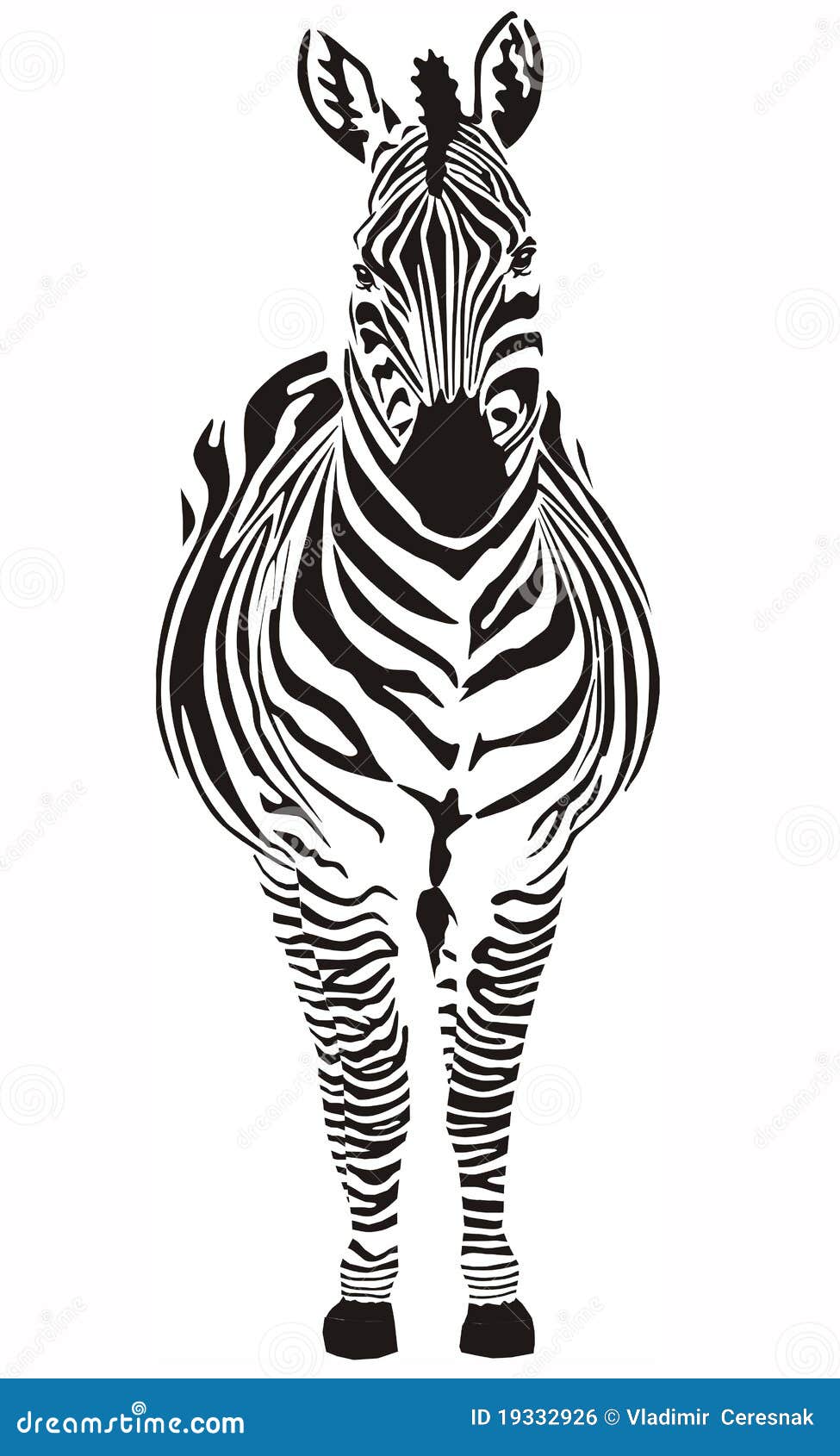 Zebra - black and zero stock vector. Illustration of species - 19332926