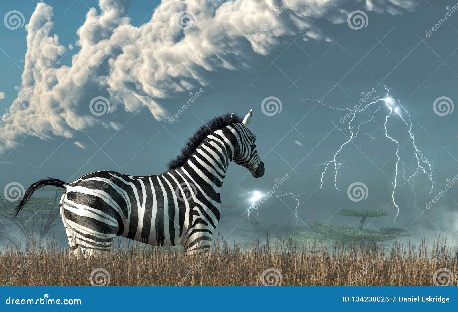 Zebra Stock Illustrationen, Vektors, & Klipart – (35,093 Stock ...