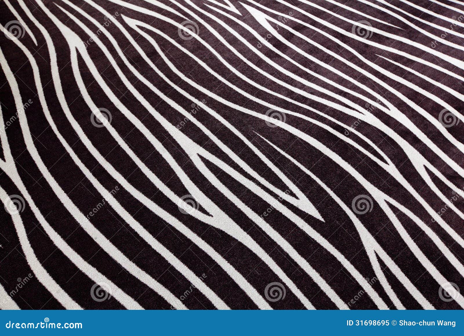 307 Zebra Carpet Stock Photos - Free & Royalty-Free Stock Photos from ...