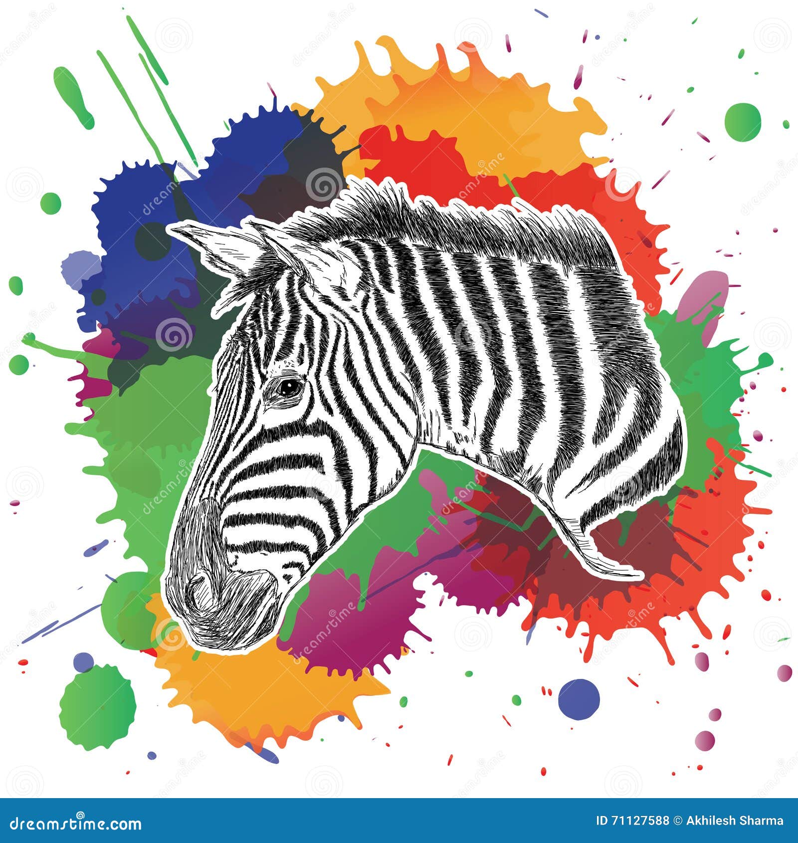 Zebra with Colorful Splashes Vector Illustration Stock Vector ...