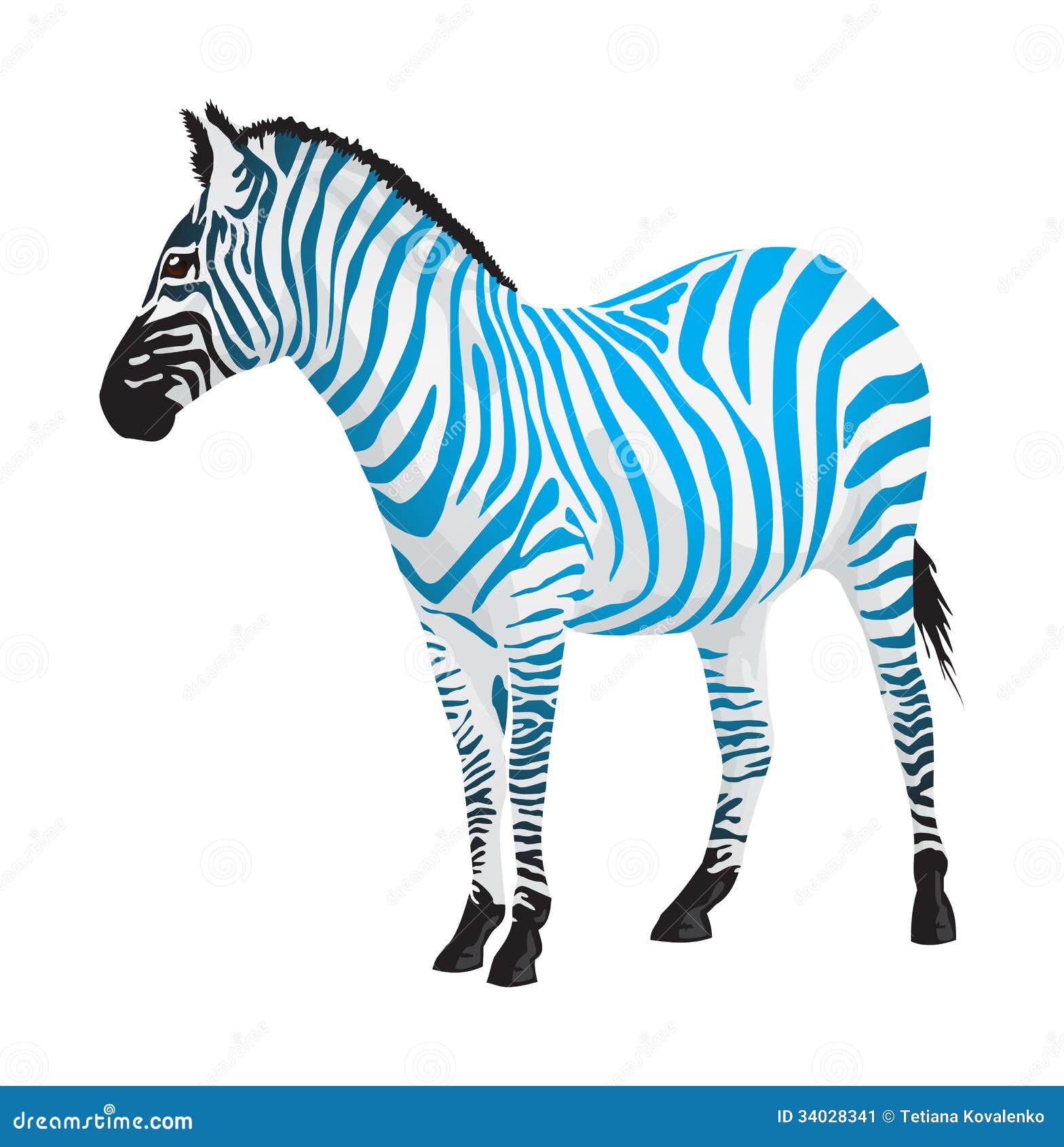 Zebra Com Tiras Da Cor Azul. Ilustração Stock - Ilustração de selvagem ...