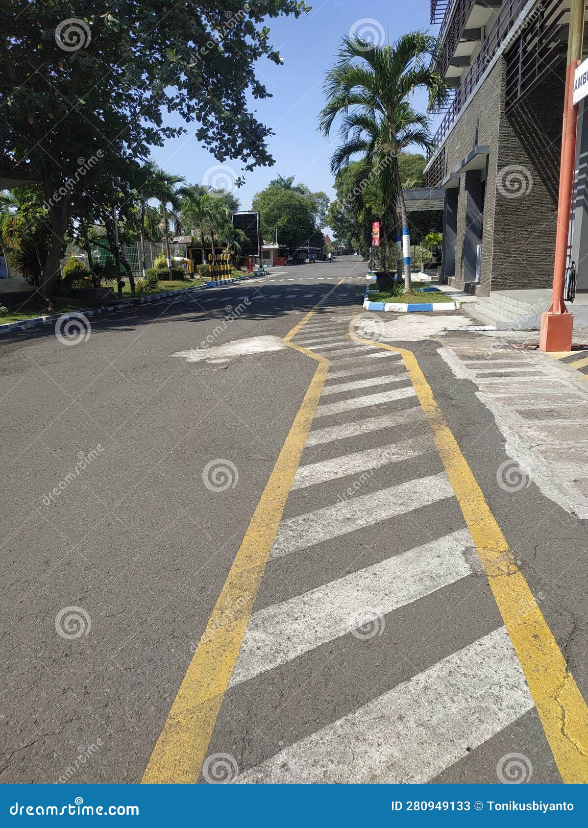 Zebra cross foto sky tree stock image. Image of zebra - 280949133