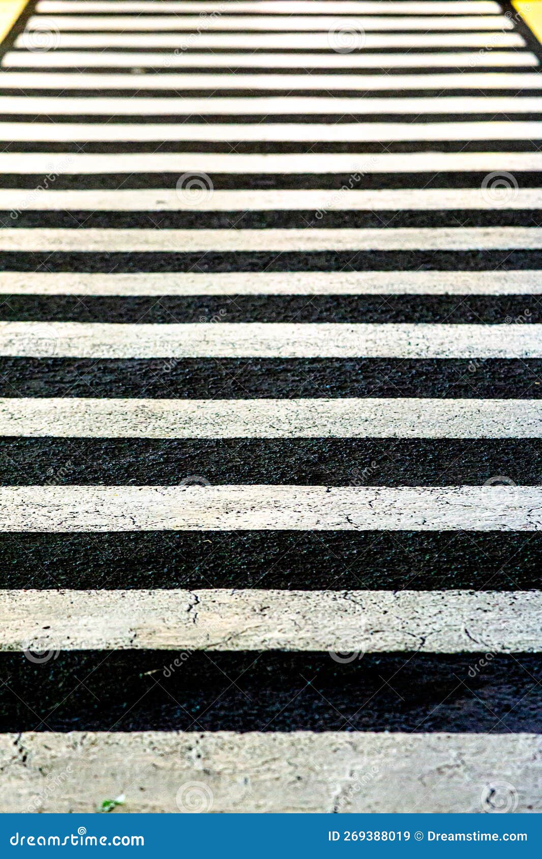 Zebra cross stock image. Image of pedestrian, wall, font - 269388019