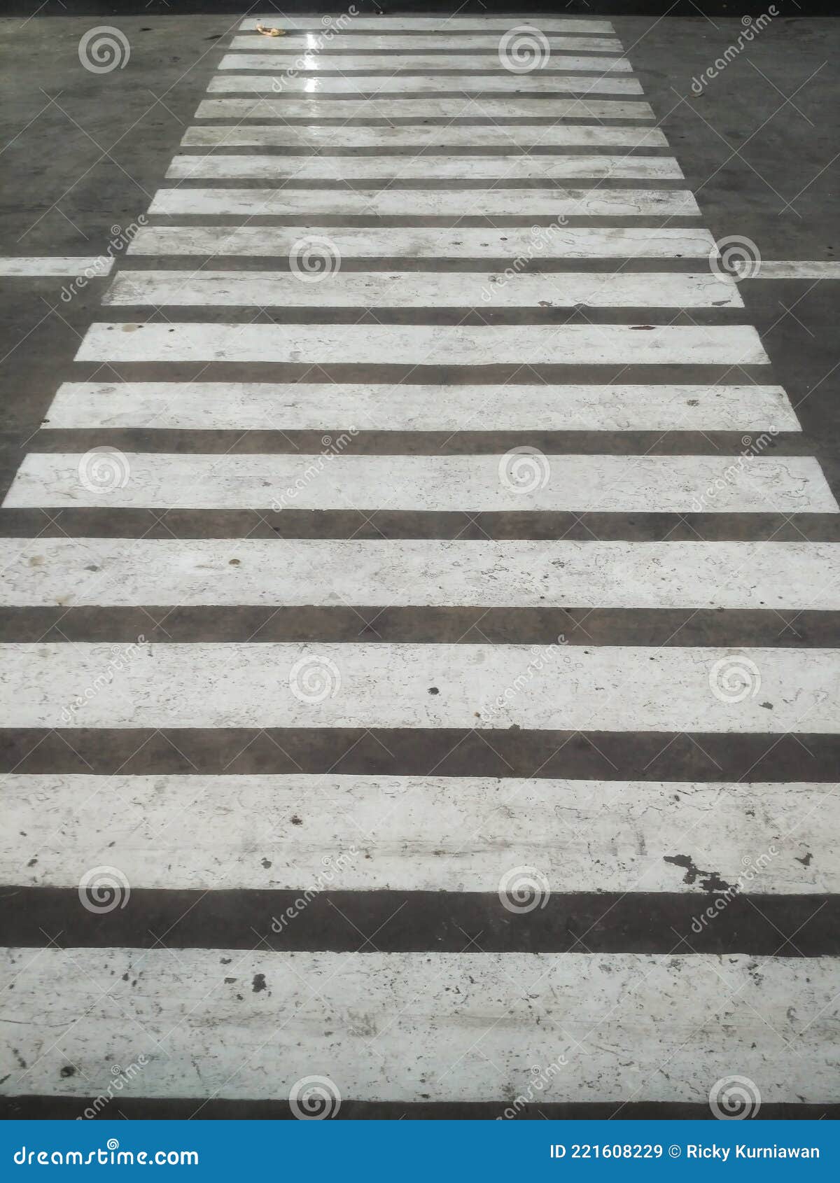 Zebra Cross That Serves As A Crossing For Pedestrians Royalty-Free ...