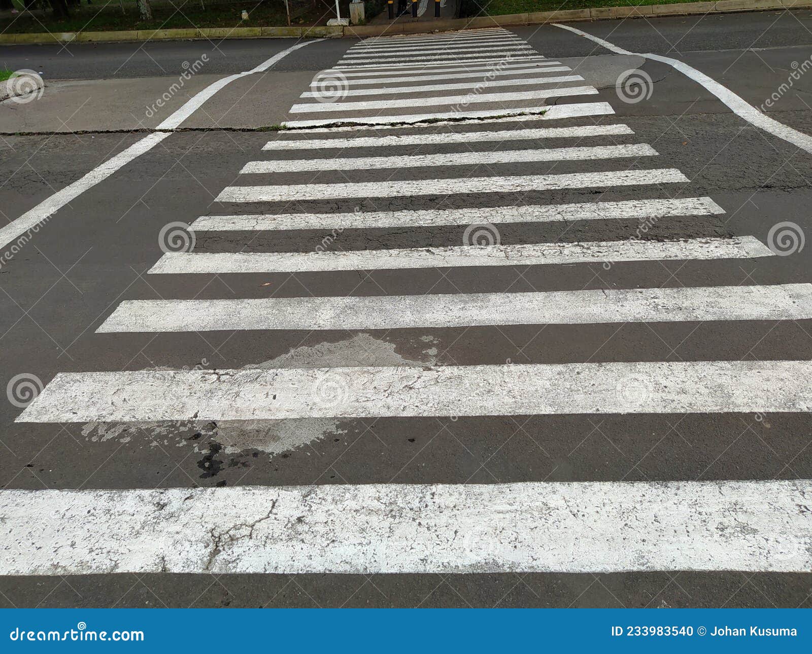 Zebra Cross On The Street Stock Photography | CartoonDealer.com #73480214
