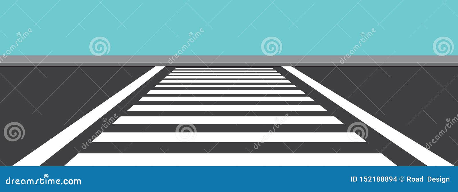 Zebra Crossing the Front Vector Illustration Stock Vector ...