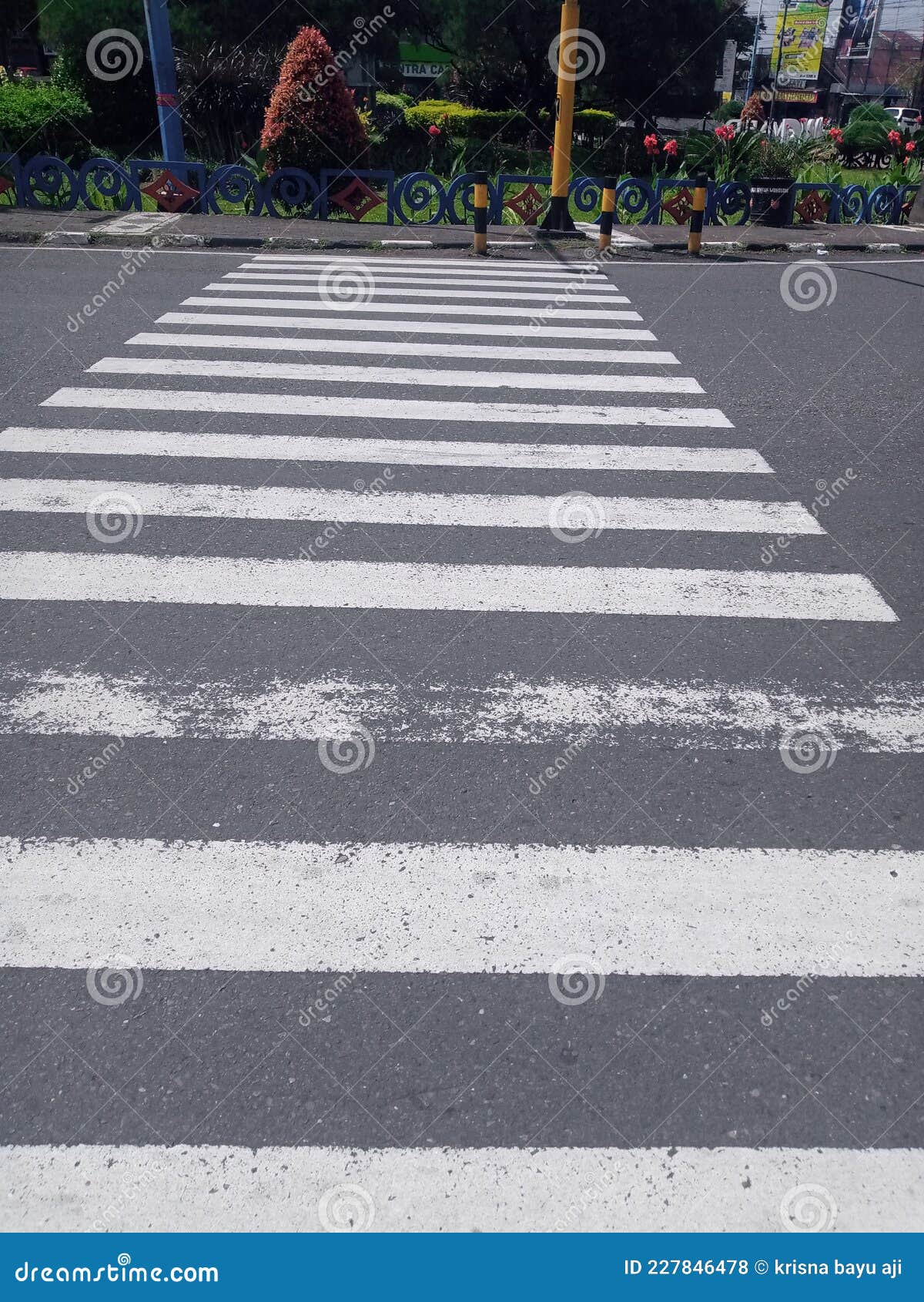 Zebra Cross With Red Background On A Street Royalty-Free Stock Photo ...