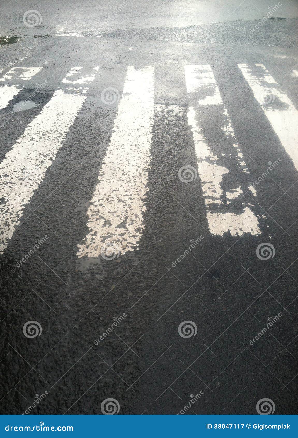 Zebra Cross With Red Background On A Street Royalty-Free Stock Photo ...
