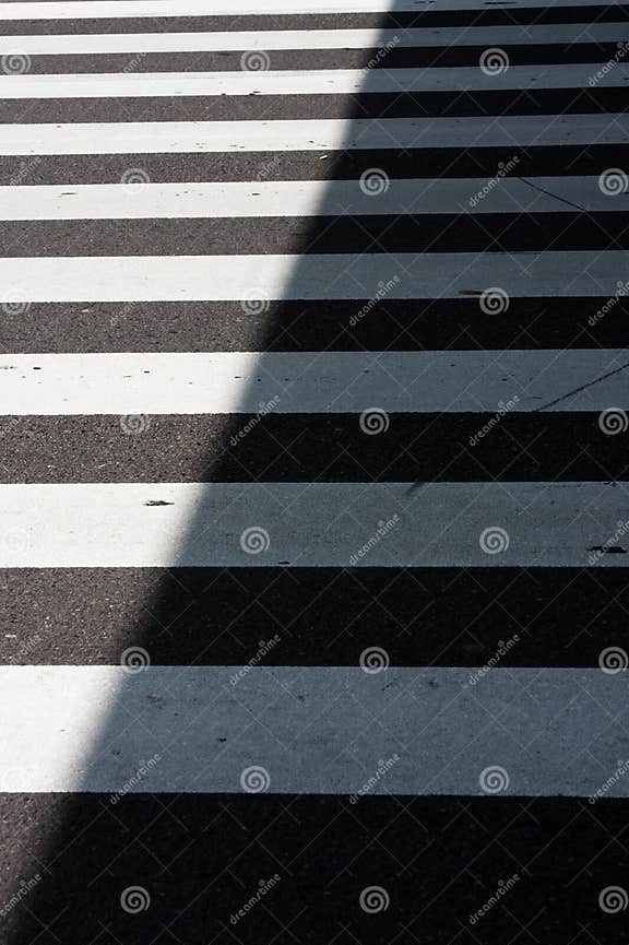 Zebra crossing stock image. Image of ligne, curve, icon - 11034291