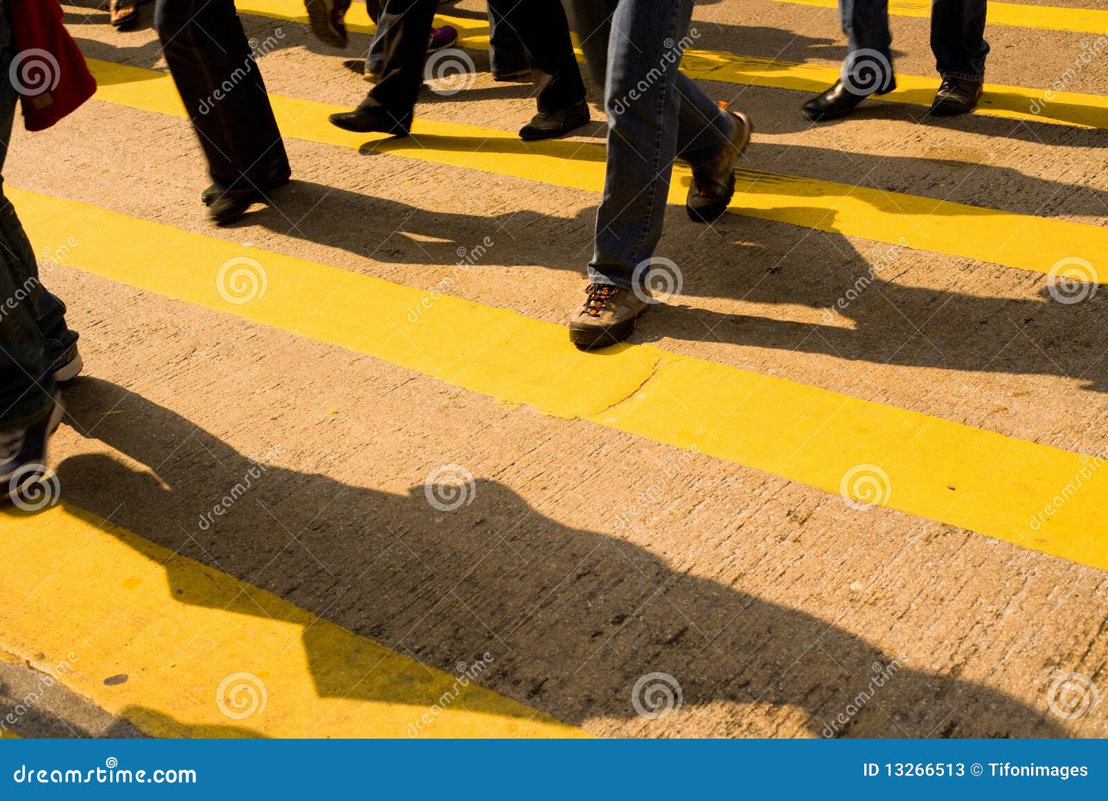 Zebra crossing stock image. Image of legs, feet, foots - 13266513