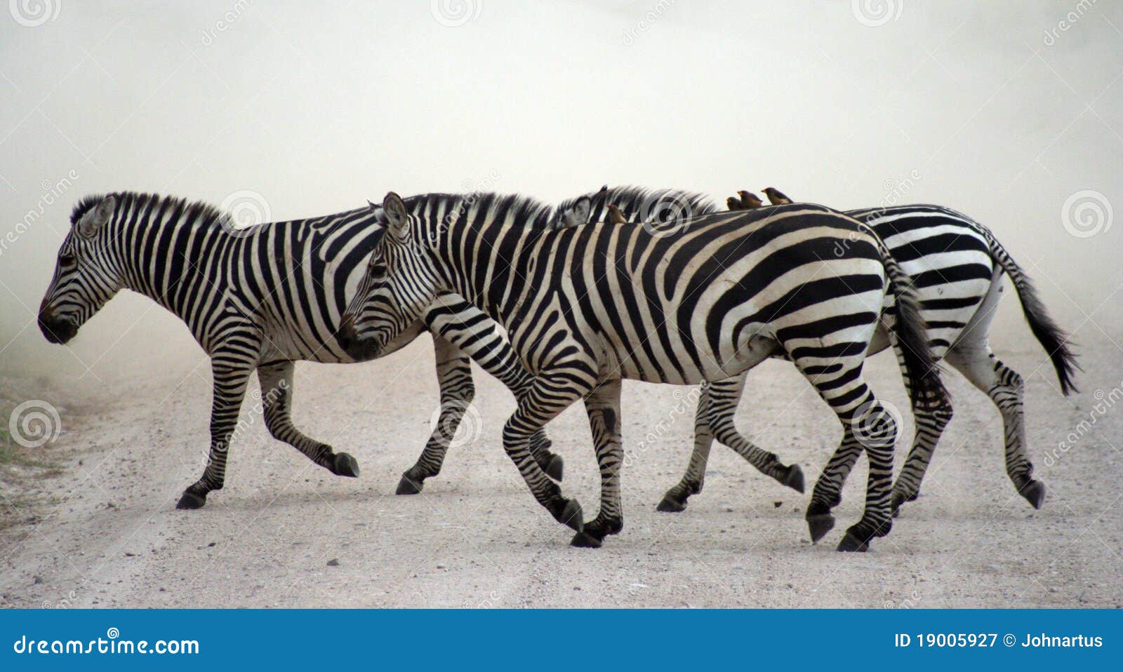 Zebra Crossing Road Sign, Pedestrian Cross Warning Traffic Roadside ...