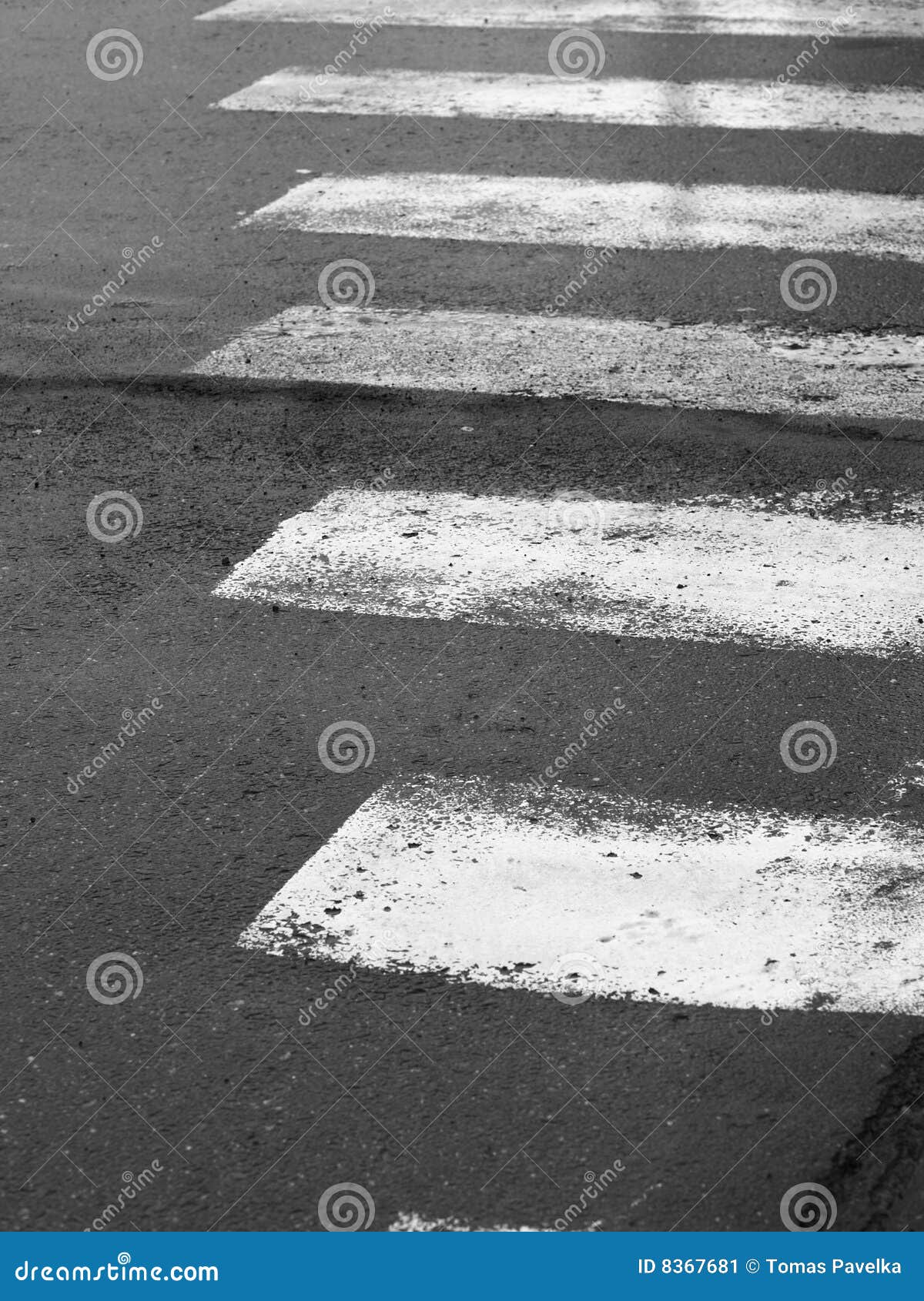 Zebra crossing stock image. Image of respect, road, drive - 8367681