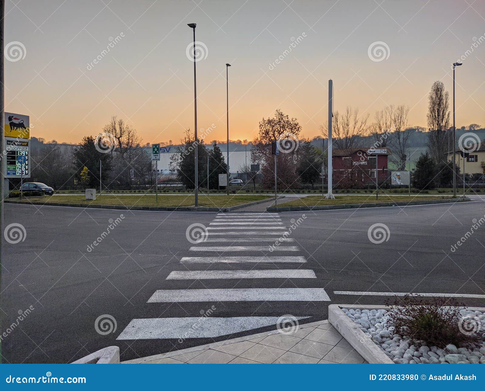 Zebra Crossing And Traffic Light Editorial Photo | CartoonDealer.com ...