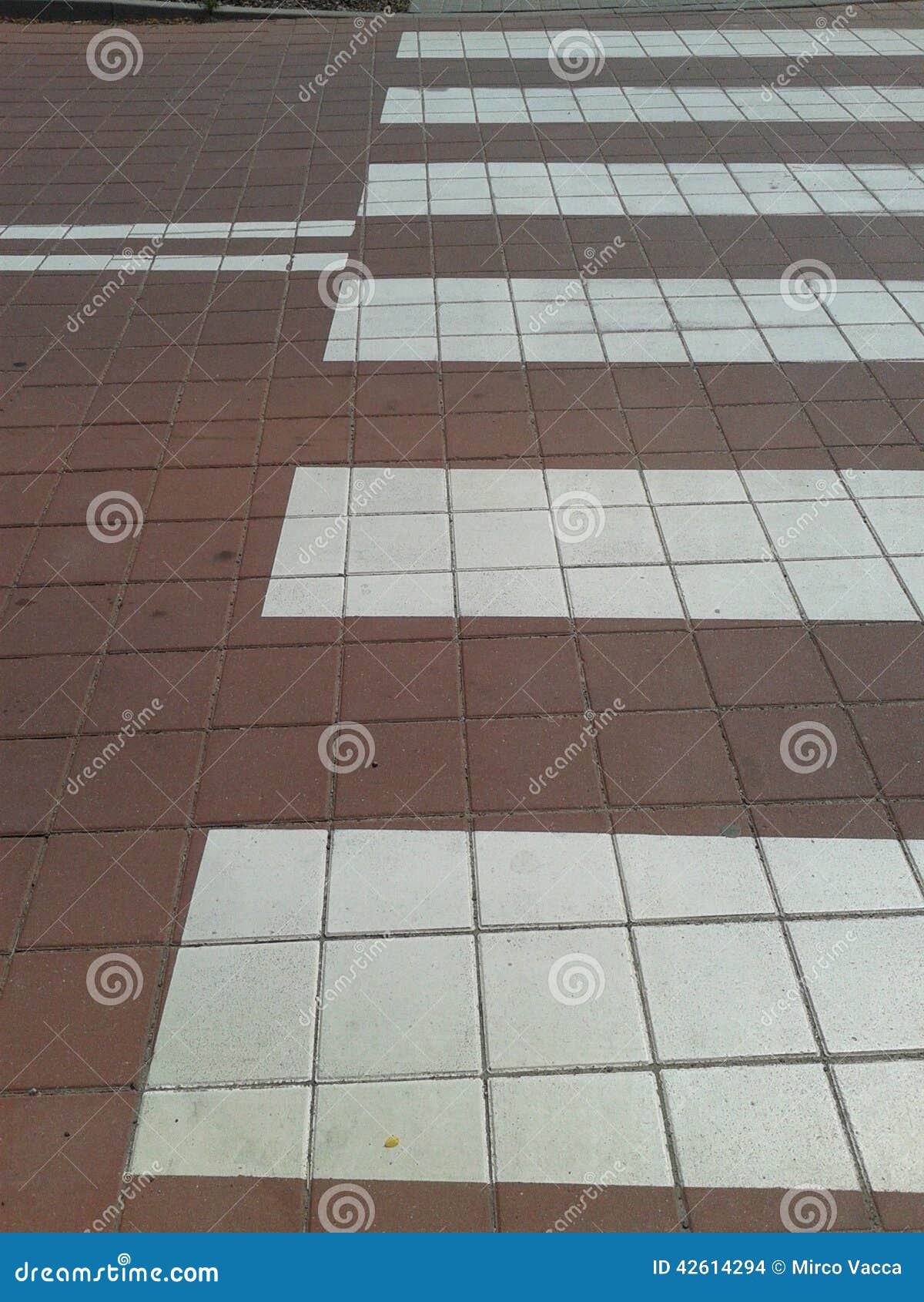 Zebra crossing stock photo. Image of daylighting, asphalt - 42614294