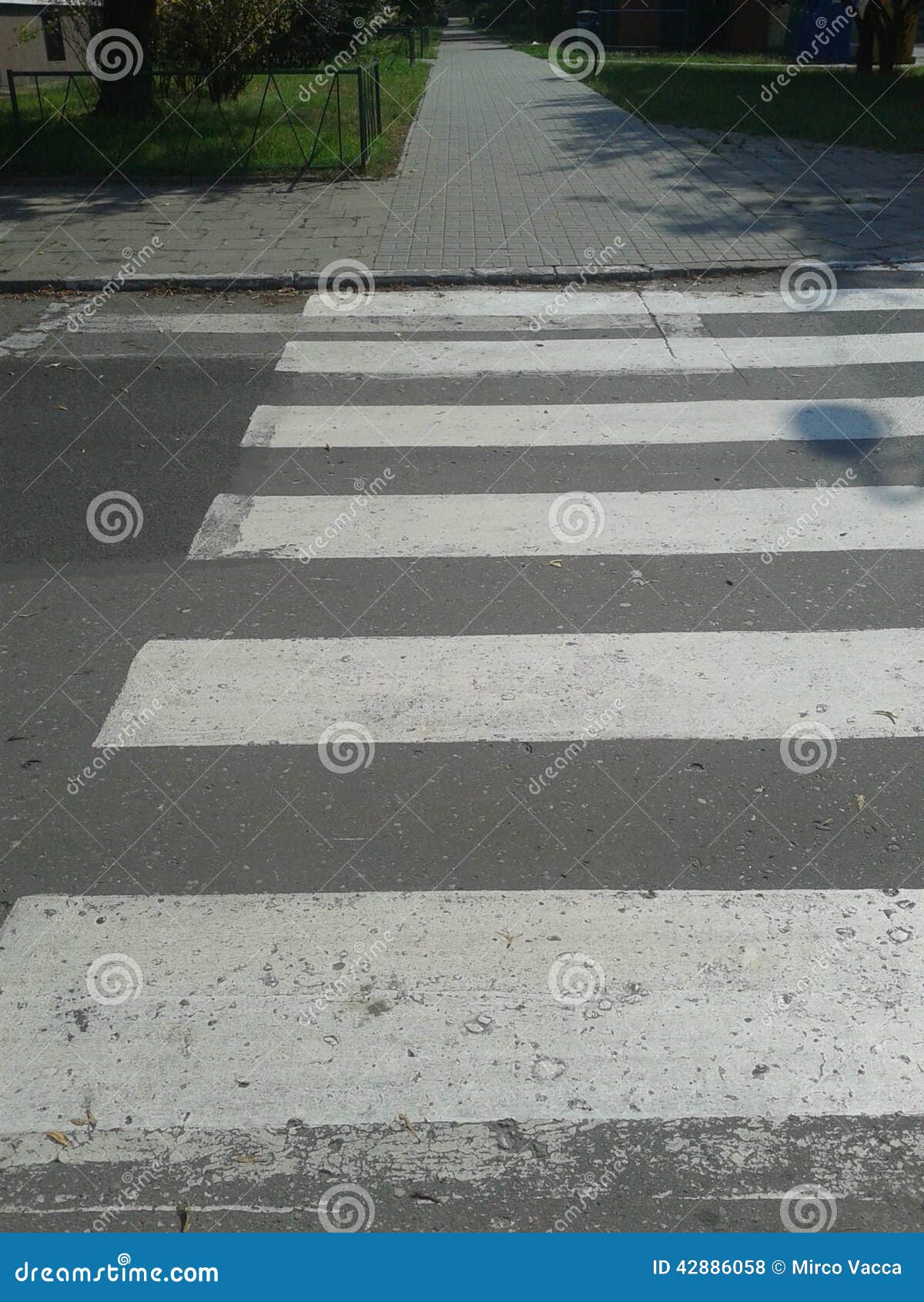 Zebra crossing stock photo. Image of road, curb, line - 42886058