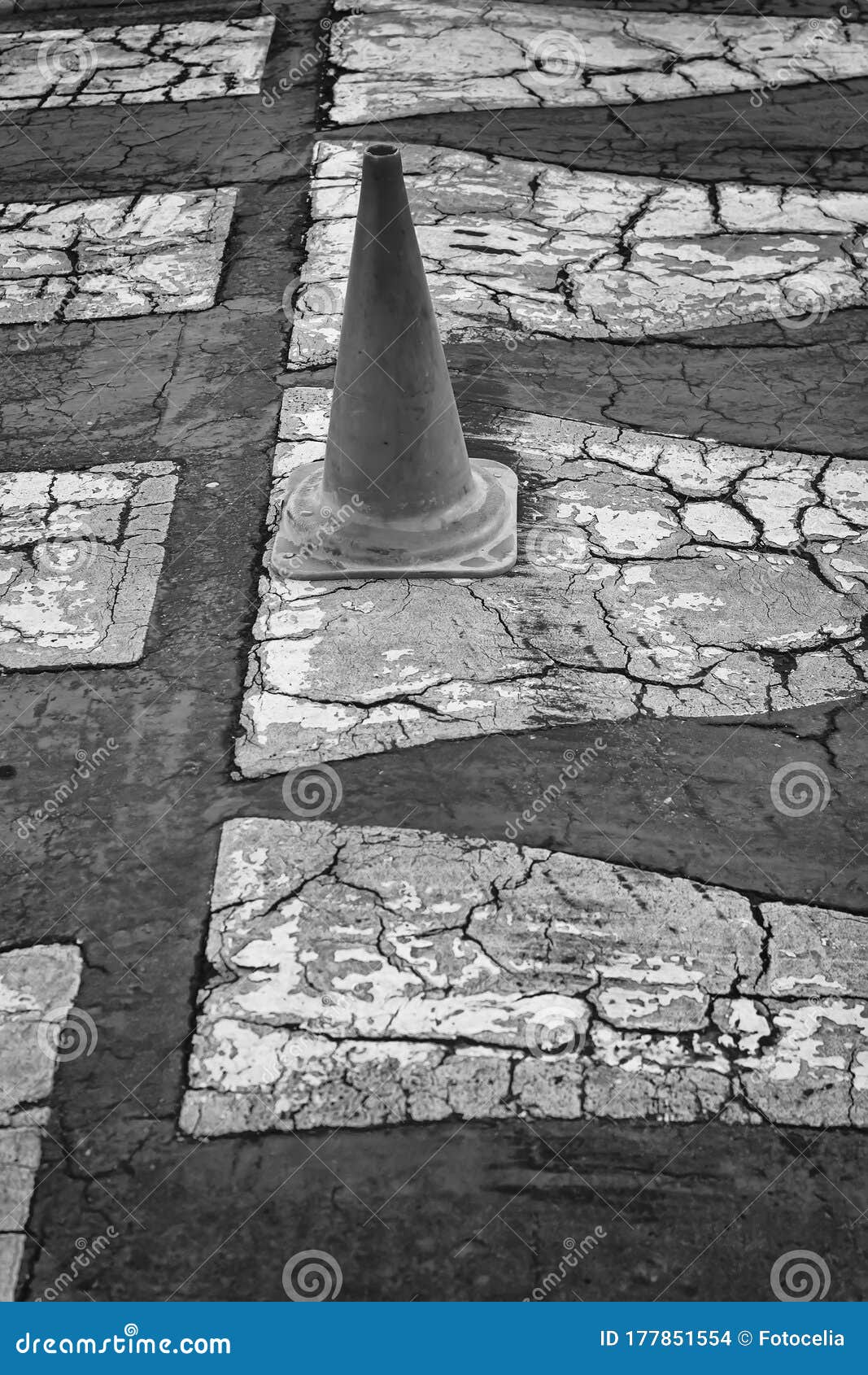 Zebra crossing with signal stock photo. Image of junction - 177851554