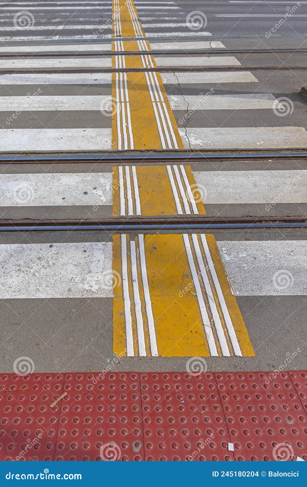 Zebra Crossing Tram Tracks stock photo. Image of pavement - 245180204