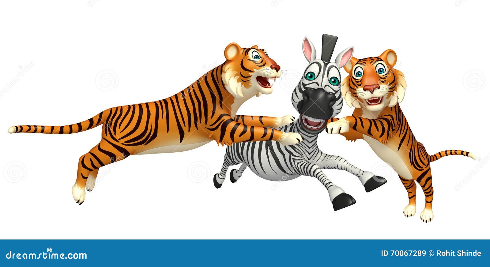 Zebra da caça do tigre ilustração stock. Ilustração de cartoon - 70067289