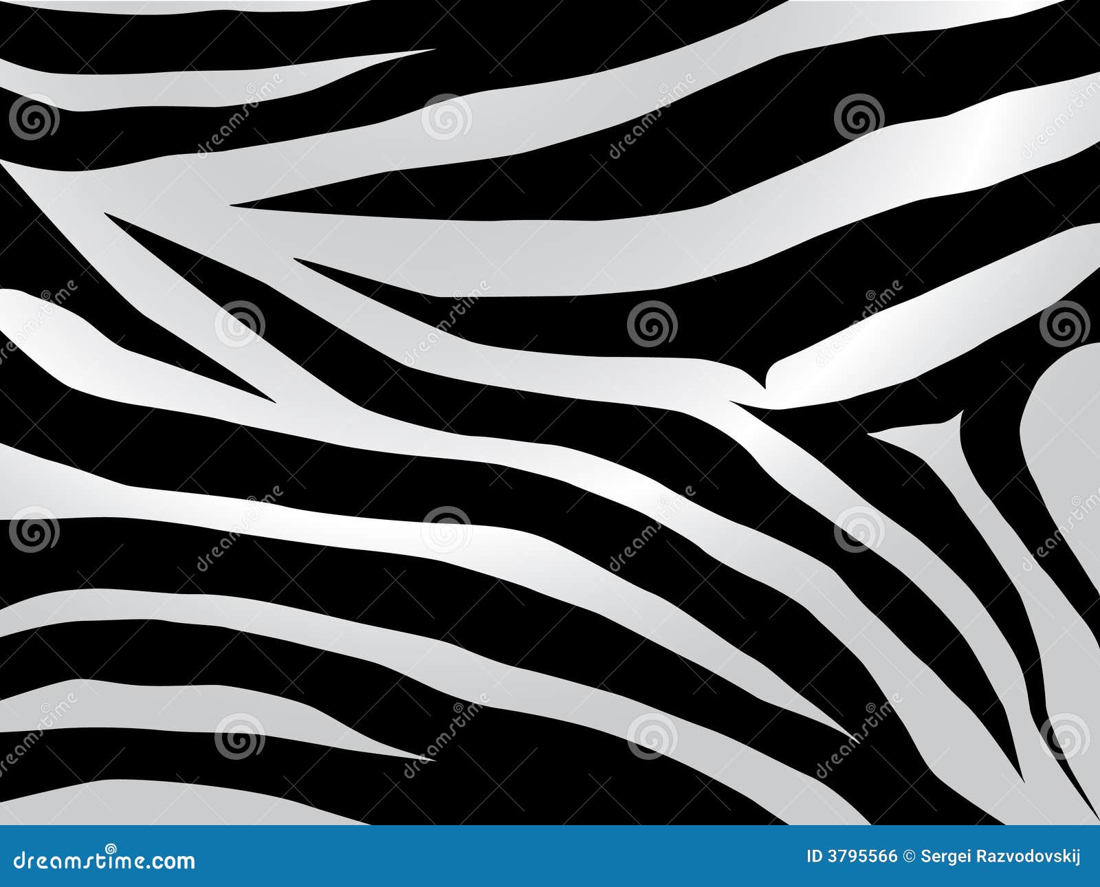 Zebra design stock vector. Illustration of background - 3795566