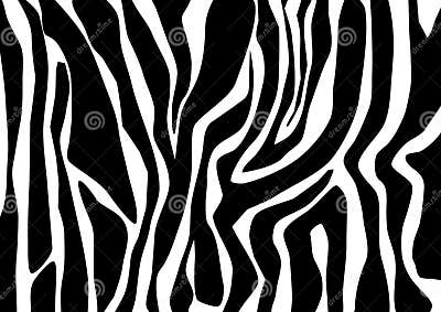 Zebra design stock illustration. Illustration of design - 8445752
