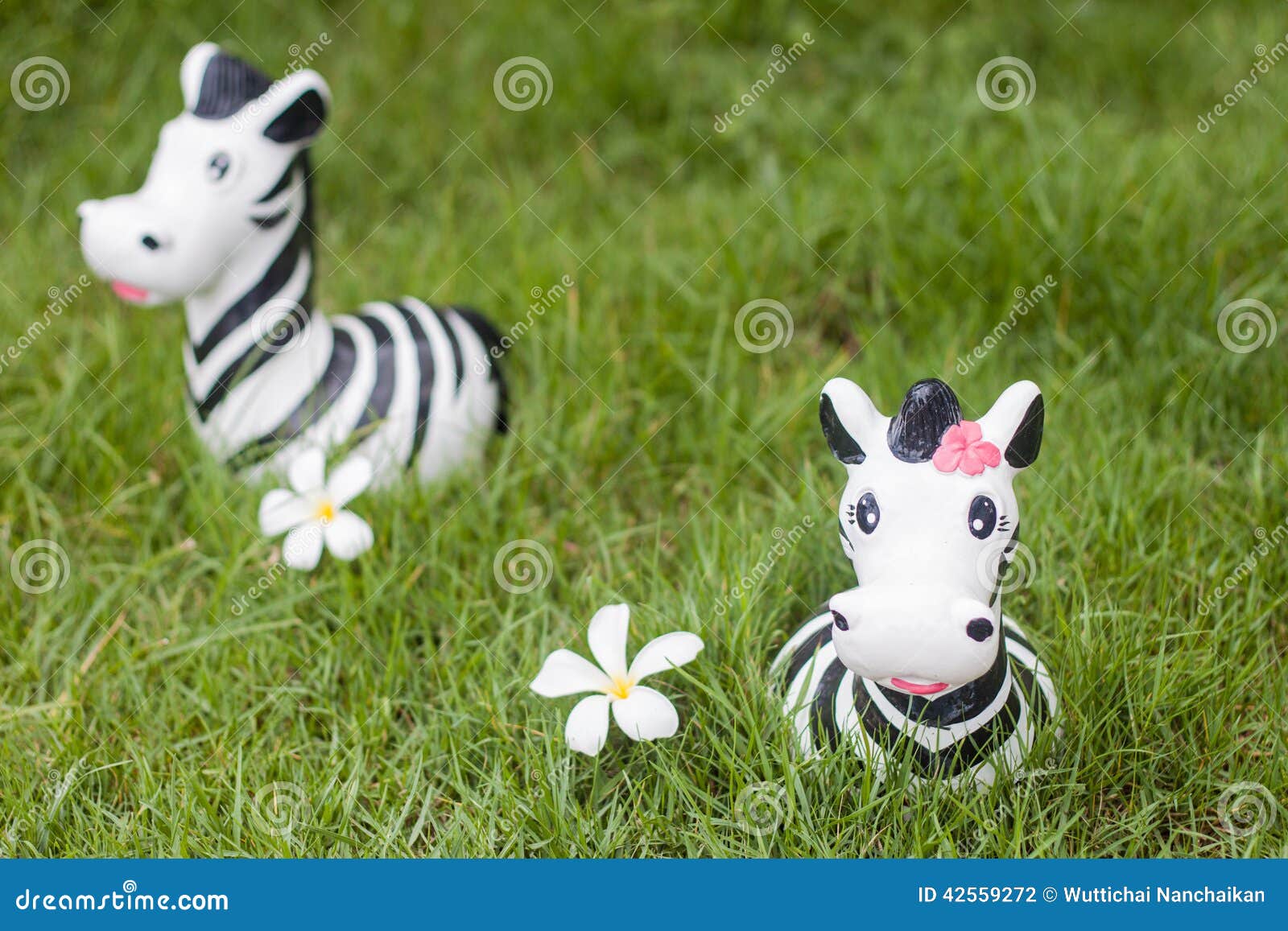 Zebra doll on the grass stock photo. Image of garden - 42559272