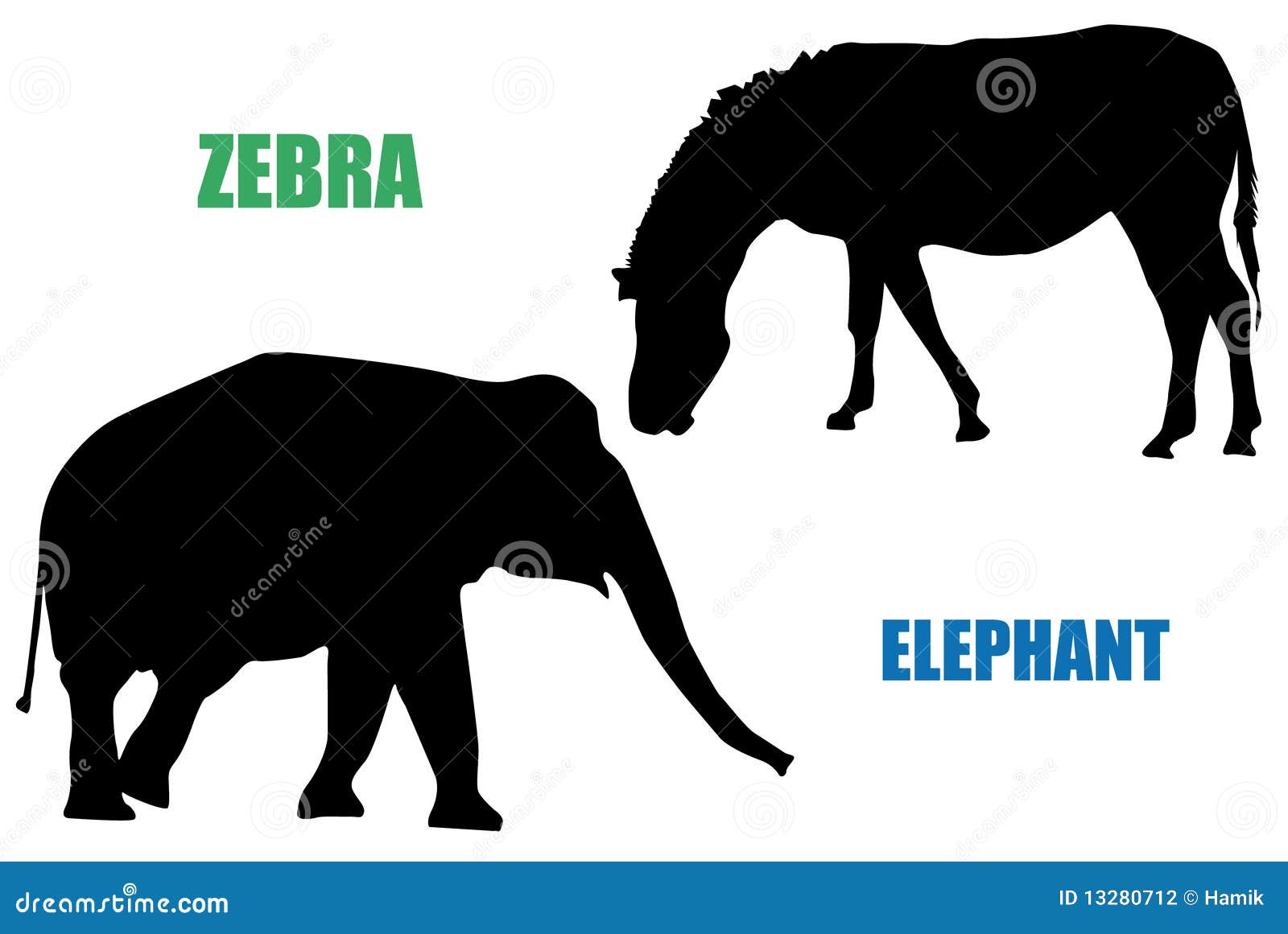 Zebra and elephant stock vector. Illustration of animal - 13280712