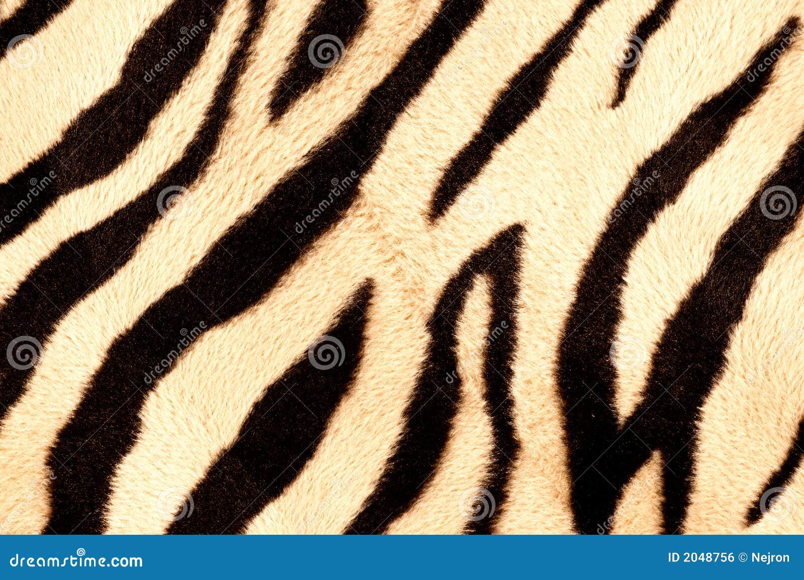 Zebra fabric texture stock photo. Image of soft, textile - 2048756