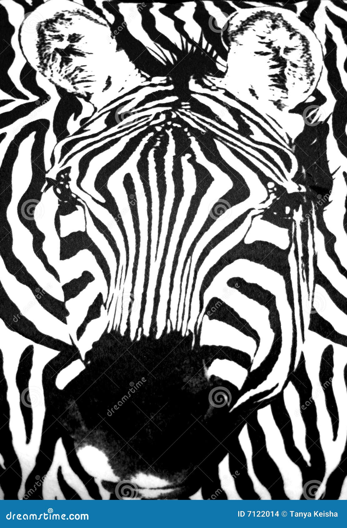 Zebra Fabric Texture Stock Photography | CartoonDealer.com #7122014