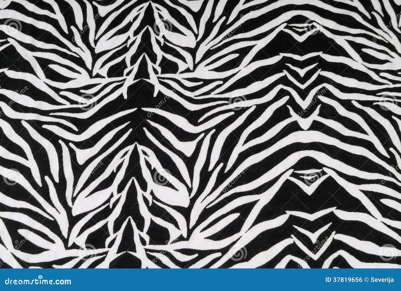 Zebra Fabric Texture Stock Photo | CartoonDealer.com #28762110