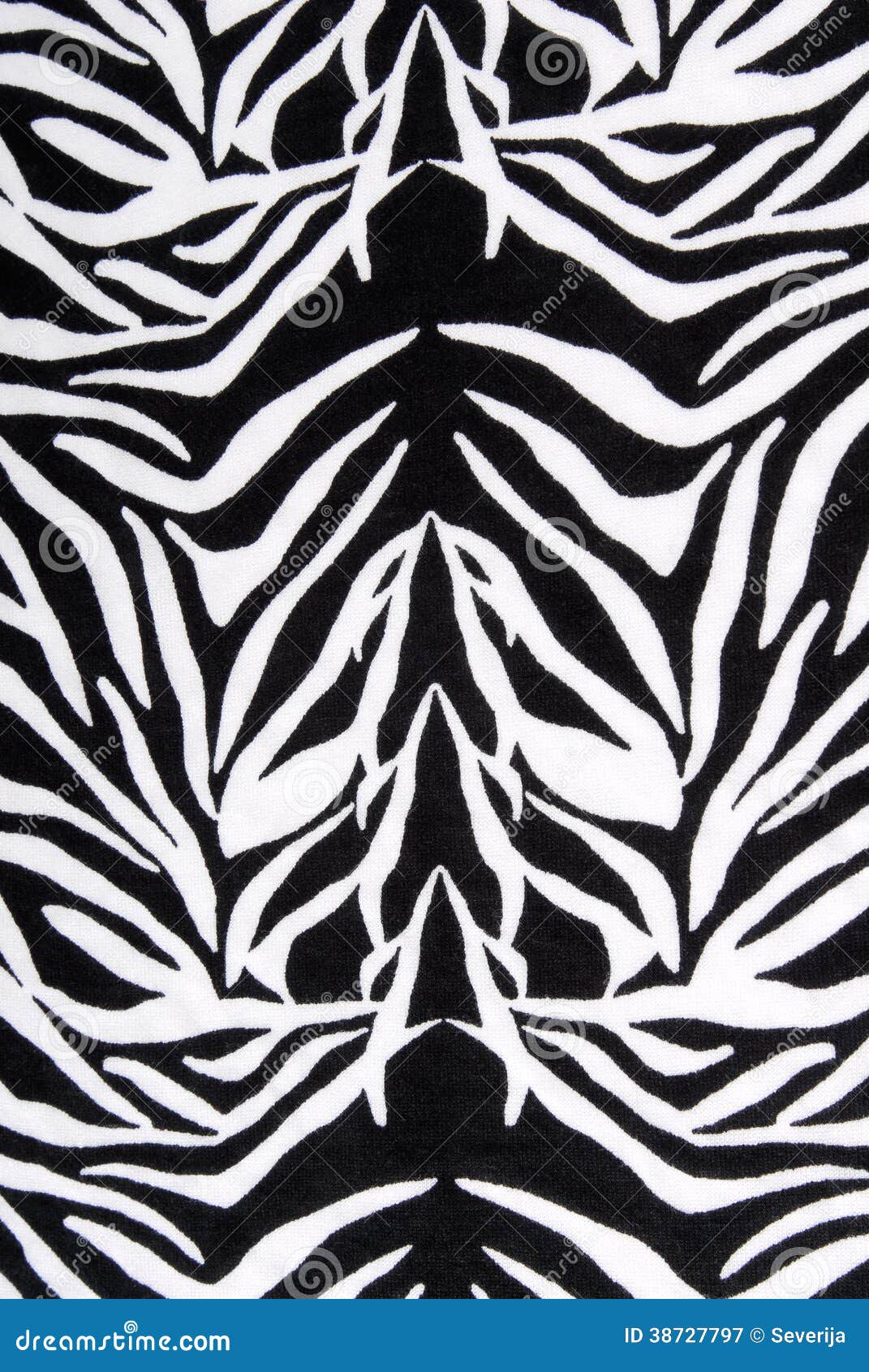 Zebra Fabric Texture Pattern Stock Image - Image of safari, fashion ...