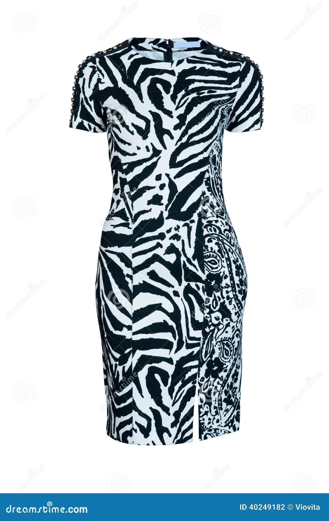 Zebra fashion dress stock photo. Image of girl, isolated - 40249182