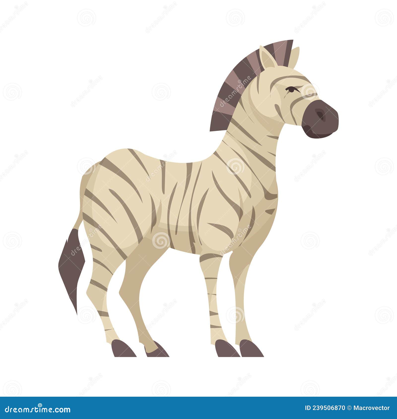 Zebra Flat Illustration stock vector. Illustration of side - 239506870
